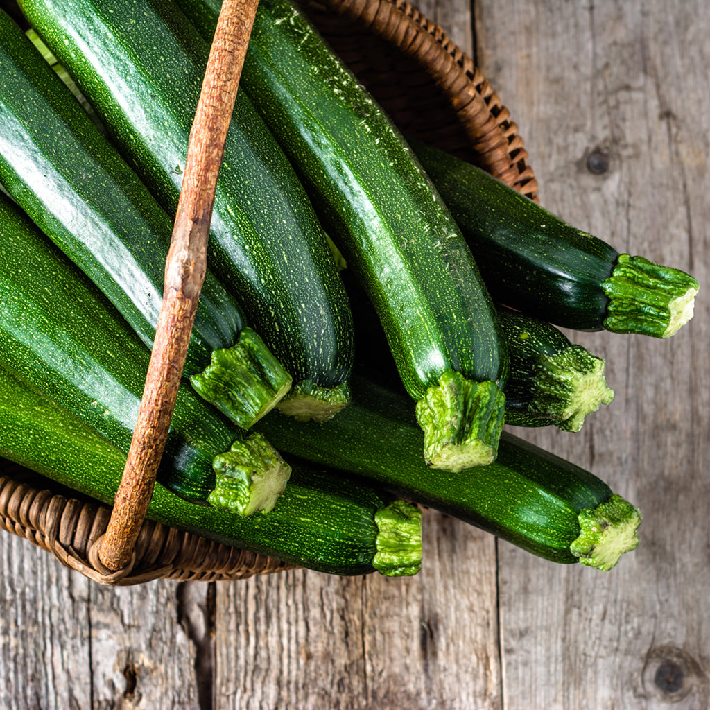 ZUCCHINI, FANCY (by the pound) – Wagshal's